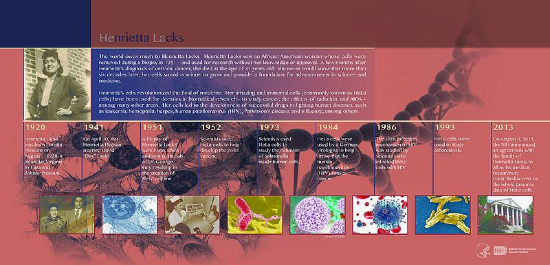 How to Celebrate Black History Month in Health and Physical Education ...