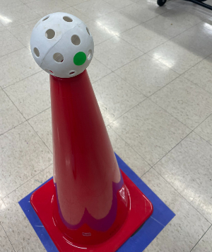 Why All Physical Education Teachers Need an Adapted PE Bucket - SHAPE ...